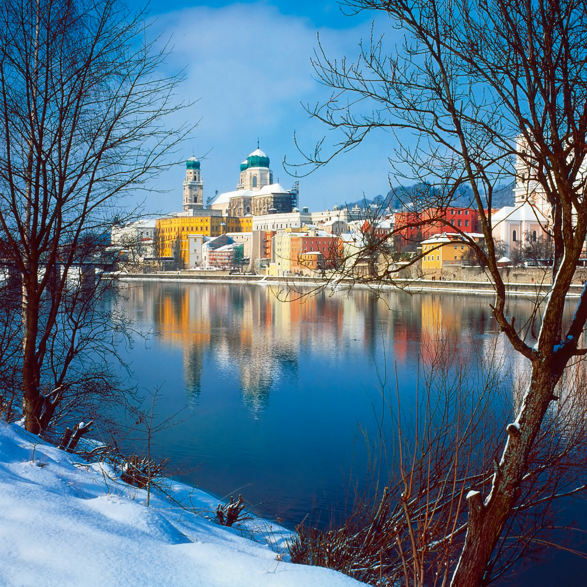 Bayrischer Winterwald
