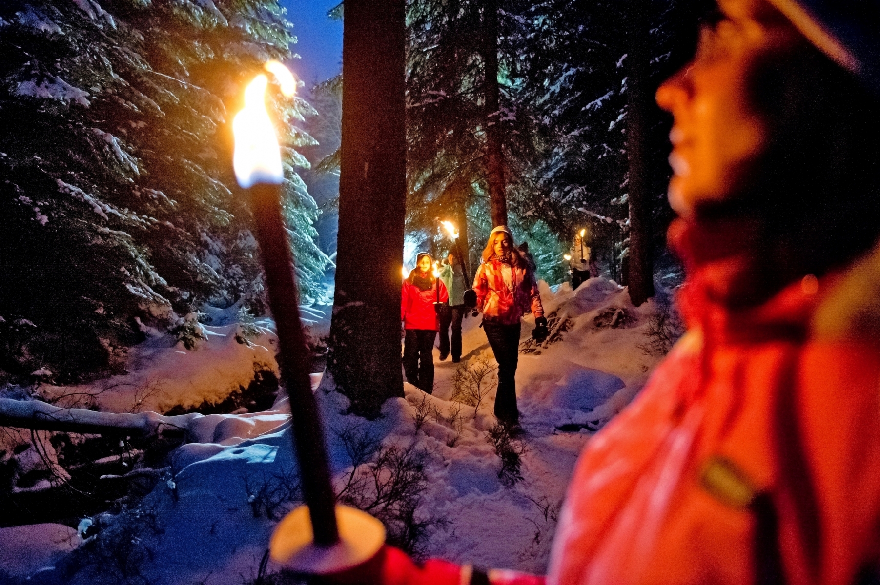 Bayrischer Winterwald